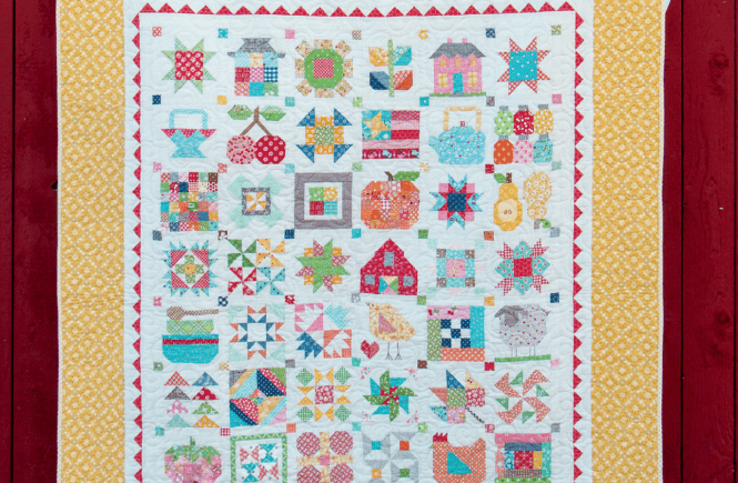 Farm Girl Vintage by Lori Holt of Bee in My Bonnet