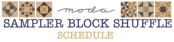 We will release two new blocks every Friday on the blog page. So, if ...