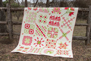 NEW BOOK: Christmas Figs Block of the Month