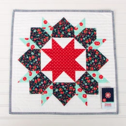 Camille made her Swoon Sixteen Block into a mini quilt using Smitten by ...