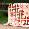 Shortcut Quilt: Fat Eighth Fruitcake