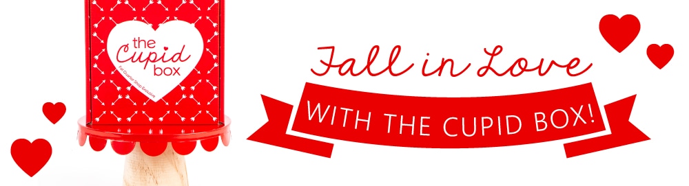 February 14, 2019 No Comments