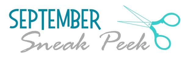 September 6, 2020 172 Comments