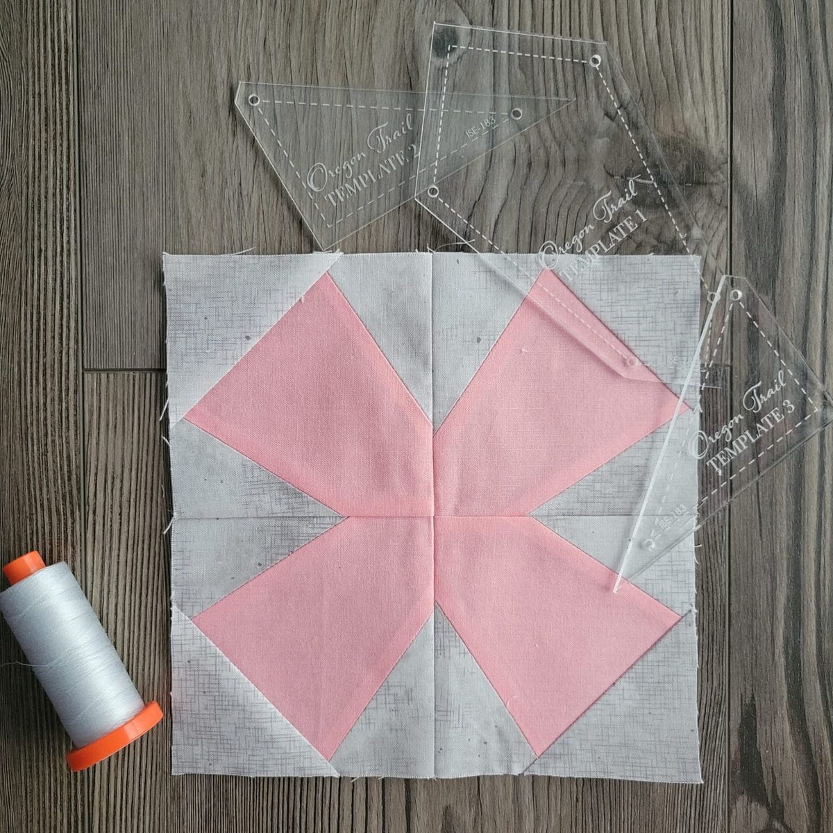 She sewed her block with Confetti Cottons and Shabby by Lori Holt for ...