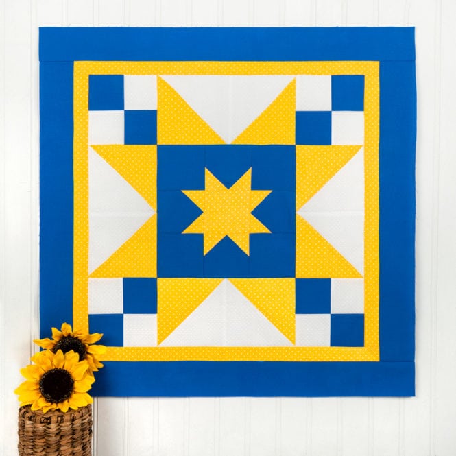 Our quilty friend, Pat Sloan , designed this star block to raise funds ...