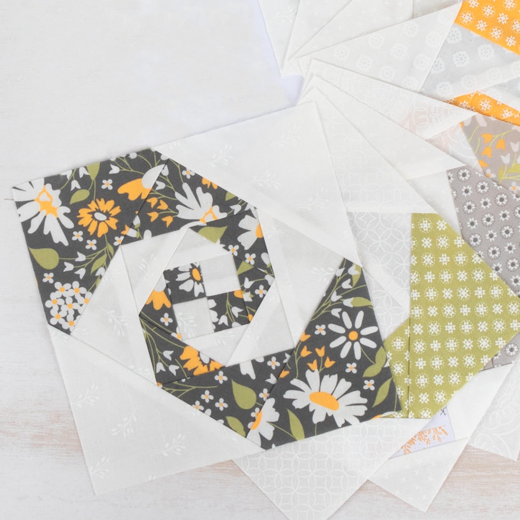 Spotted Snail Trail Quilt Along