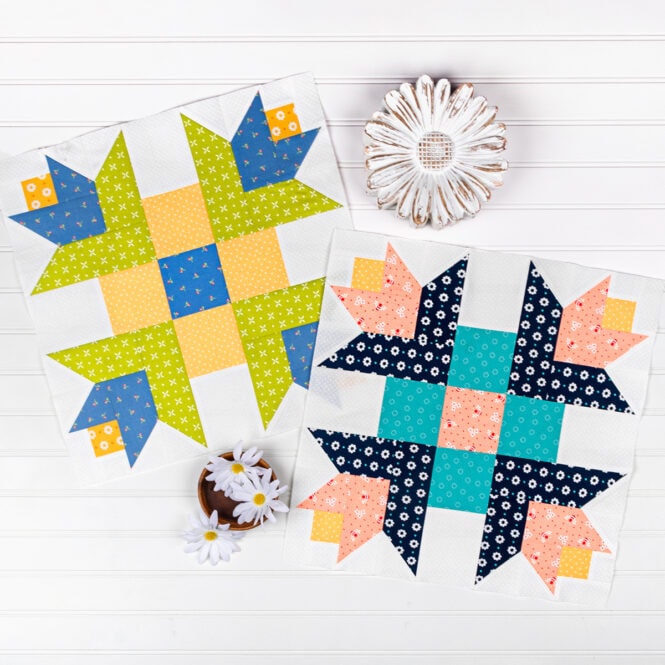 Update 12/8/2023: Kimberly’s sewn all her blocks! We’ve added them in ...