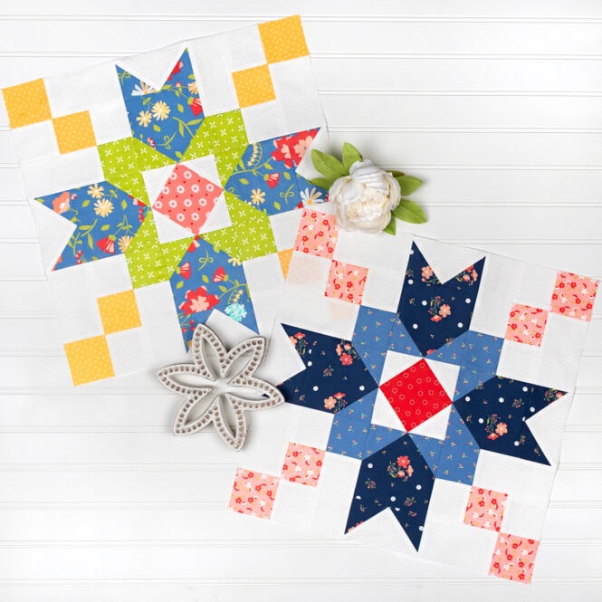 Update 12/8/2023: Kimberly’s sewn all her blocks! We’ve added them in ...