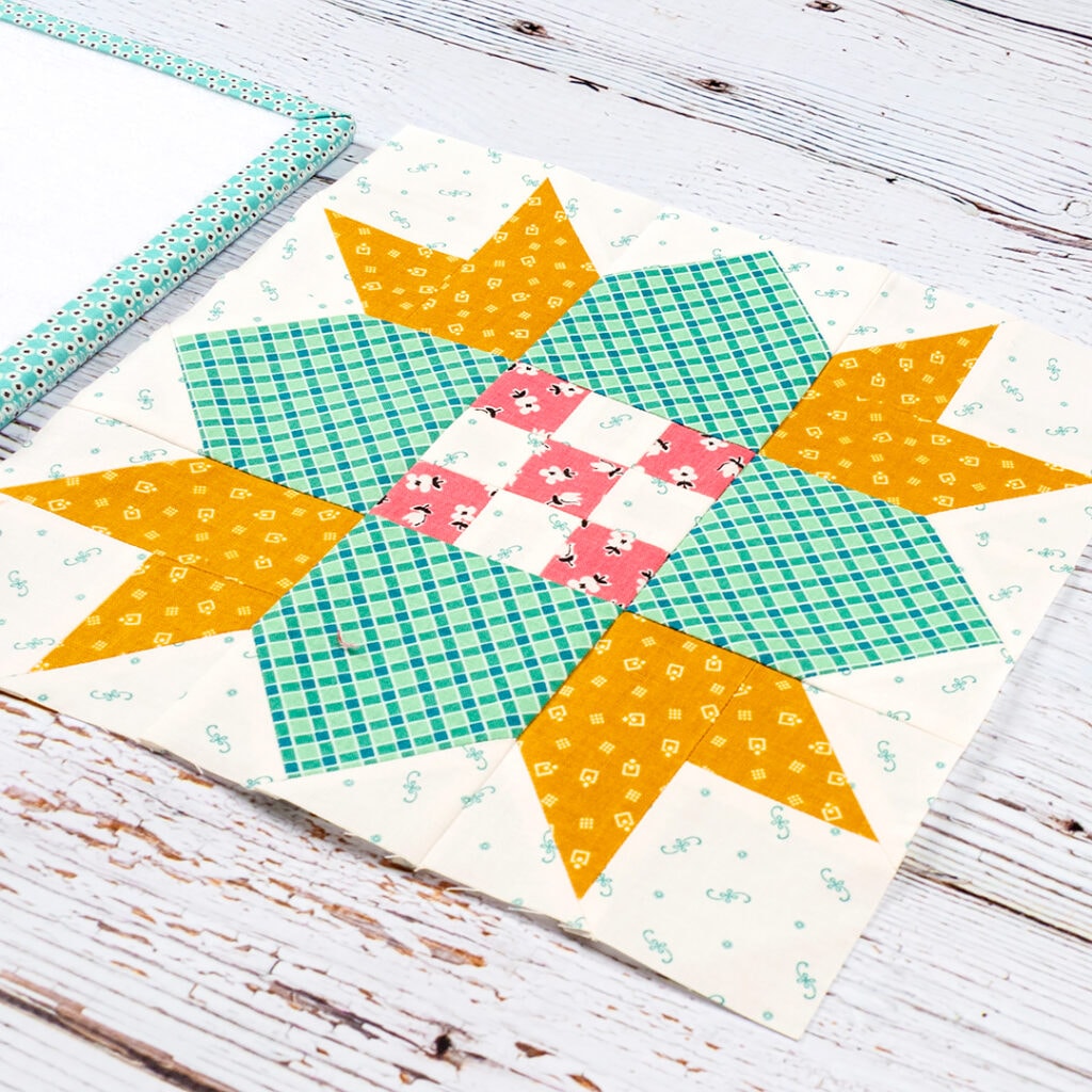 Check this beautiful star block off your to-do list! In week nineteen we sewed the Checkerboard ...