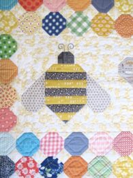 The Quilty Fun Row Along