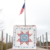 Announcing The Heart of America Quilt Along!