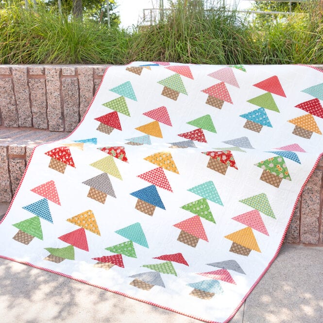 and a couple of the quilts, too!