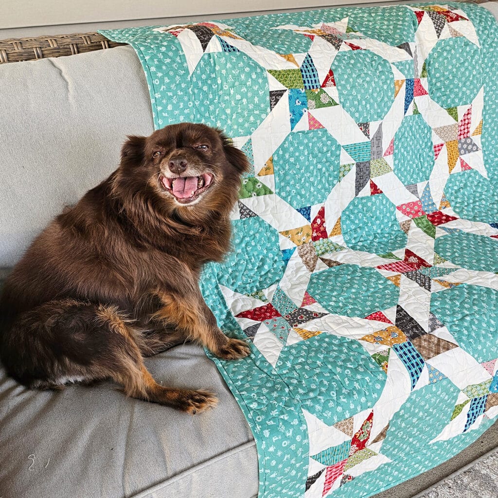 Some of our quilty friends made the Charm Pack Cartwheel quilt . You ...