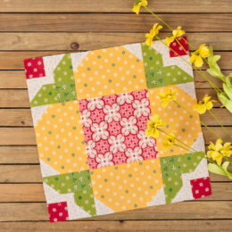 Block 5 – February 11th