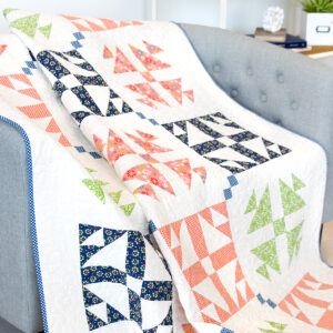 January 18, 2025 3 Comments