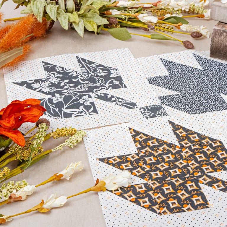 Join Us for the Autumn Nights Mystery Quilt and Stitch Along!